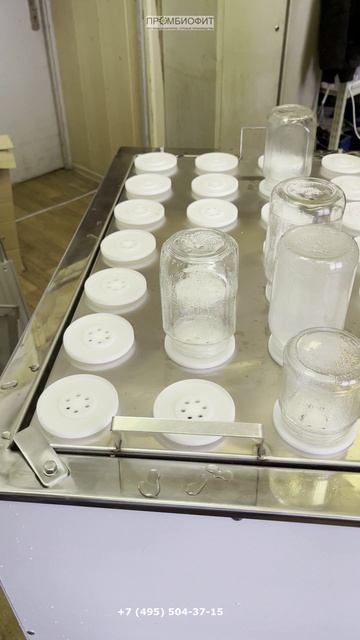 Работа стерилизатора тары (стеклянных банок) производства ООО Промбиофит