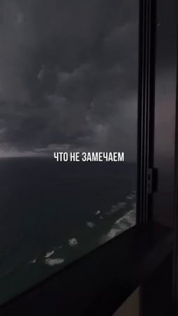 Не упускай возможность
