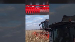Знаете ли вы, почему аграрии выбирают жатки для уборки кукурузы Bocuda Eagle?