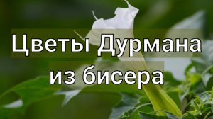 Серьги из бисера "Цветы дурмана". Бисероплетение. Подробный мастер-класс.