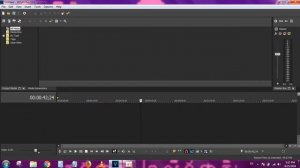 How to feedback (reset) all the setting in Sony Vegas pro 15?