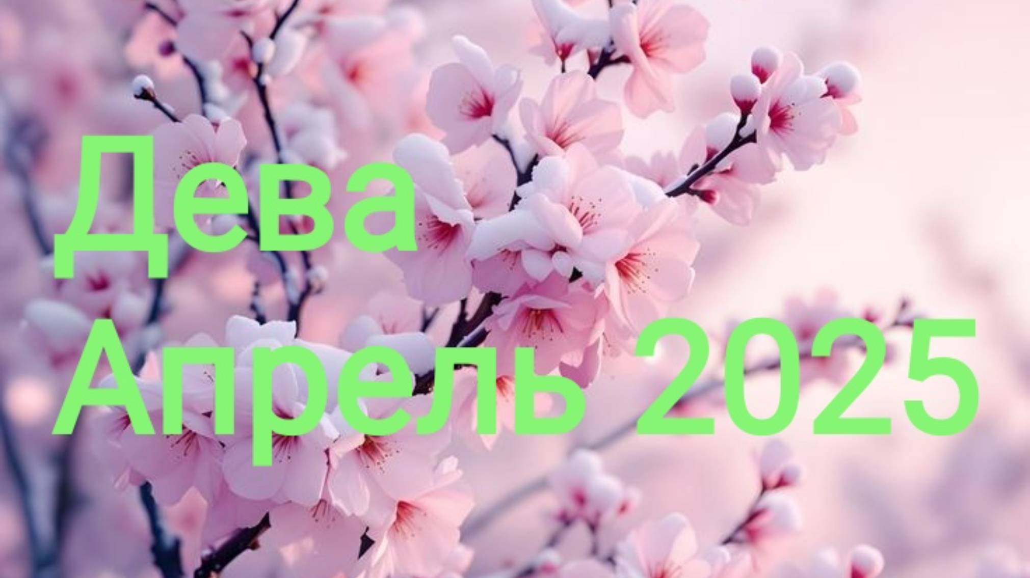 Дева. Апрель 2025 год. 🔮🔮🔮