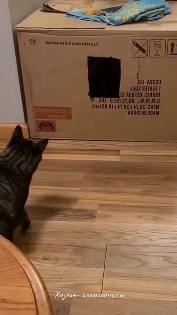 Когда у тебя хозяин-Иллюзионист