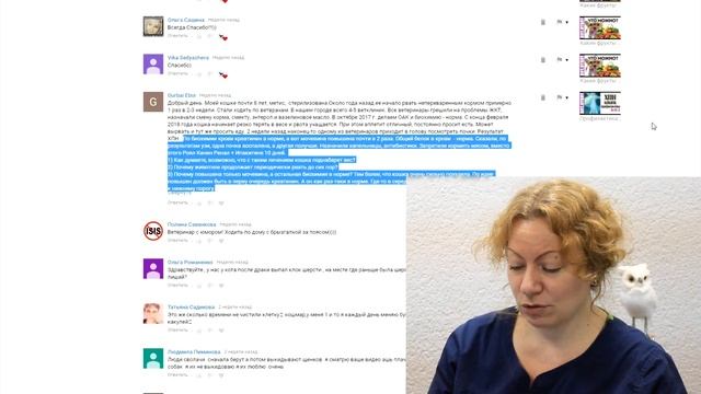 Вопросы по питанию кошек