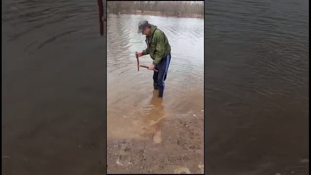 Испытание курка, созвали всех Сомов#fish #рыбалка #automobile #fishinglife #fishing #diy #cover #то