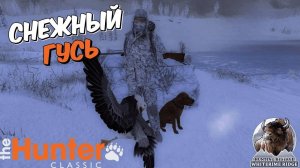 The Hunter Classic:: Скрытная Охота в Прямом Эфире! #17 +Фарм и.д.