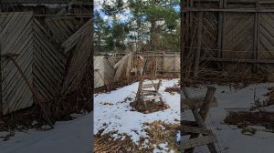 серый Гость 1