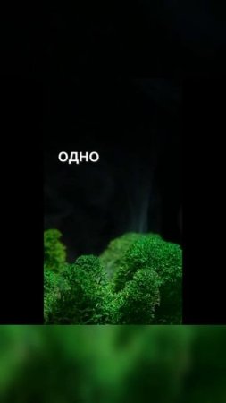 Как эксперту добиться успеха