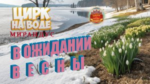 Цирк на воде "Мирандус" в ожидании весны в городе Бузулук