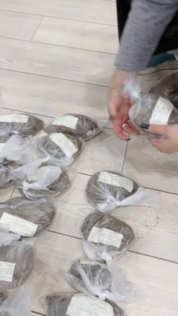Разбираем мешок с пробами для дальнейшего определения физико-механических свойств грунтов