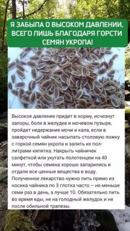 Высокое давление...
