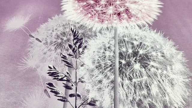 Поплин "Пакистан-принт №8" | ш.220 см | 110 г/м² | хлопок-100%