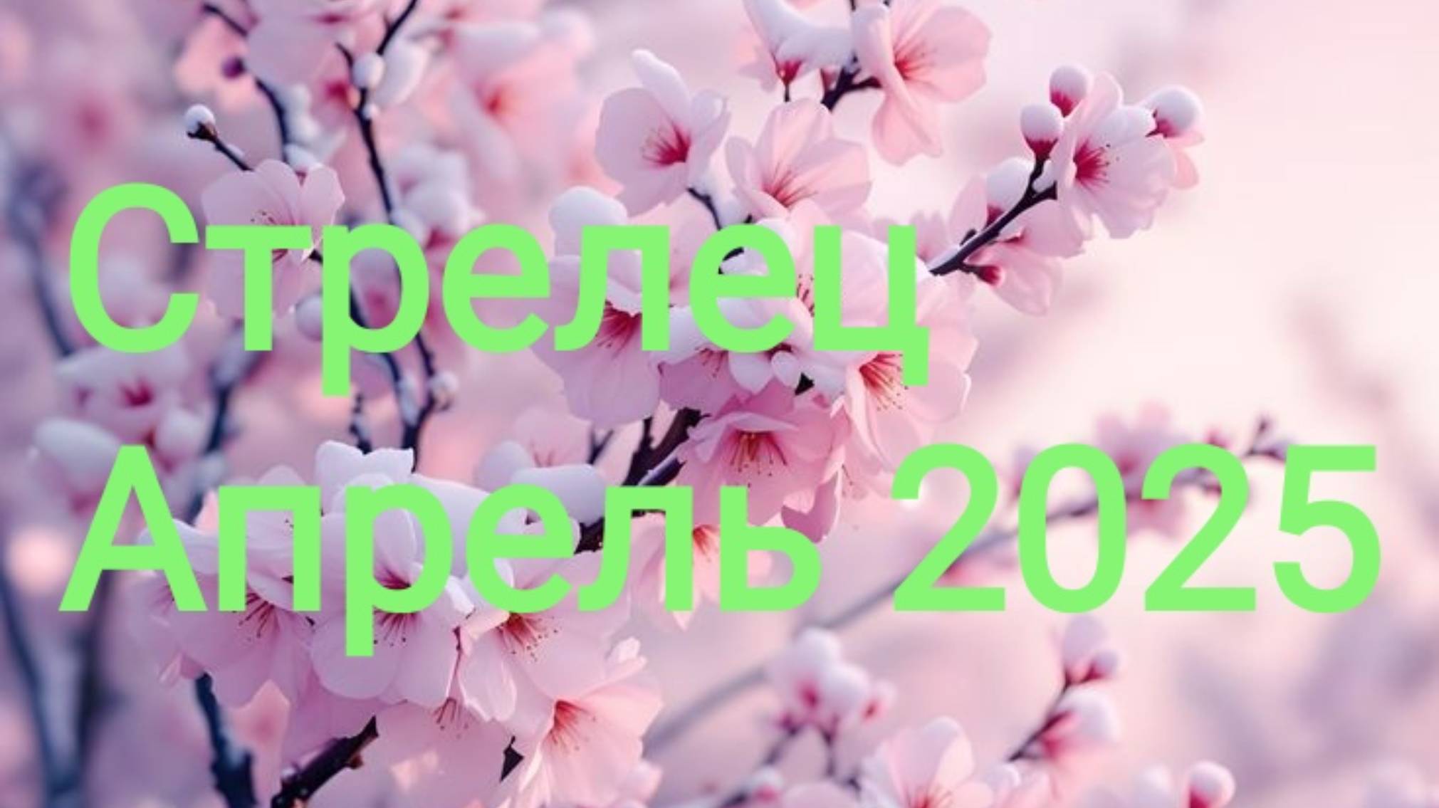 Стрелец. Апрель 2025 год. 🔮🔮🔮