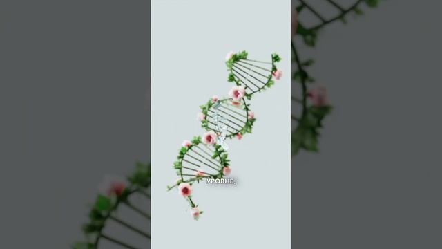 Секреты биохакинга  Что такое ЗАМАСЛИВАНИЕ организма #здоровье