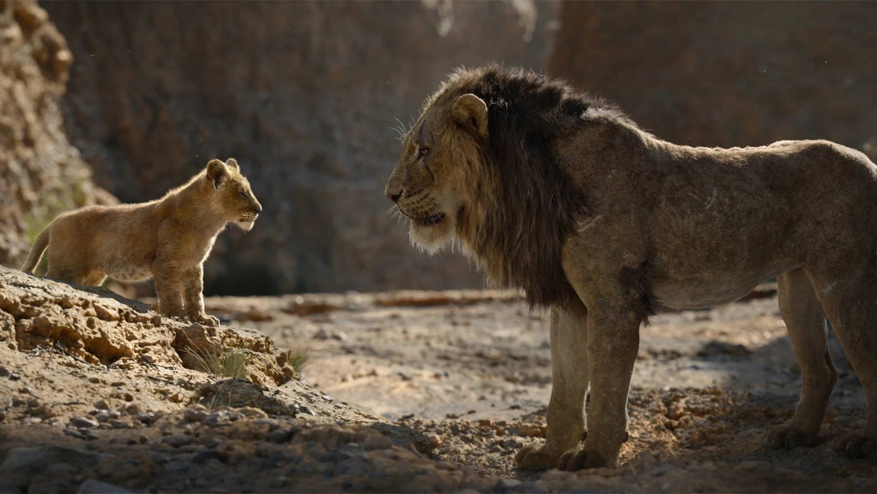 Lion King Король лев 2019 обзор треллера