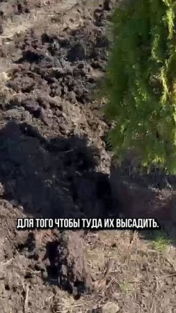 Отзыв на обновлённый экскаватор Диктум! #спецтехника #минипогрузчик #завод #экскаватор #стройка