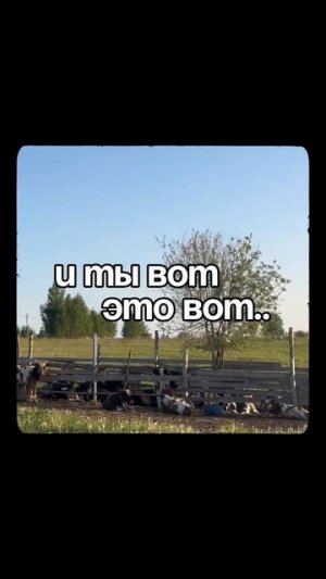 А как вы отдыхаете на природе? Есть ли у вас загородный дом?  #дом #стройка #строительствожилья