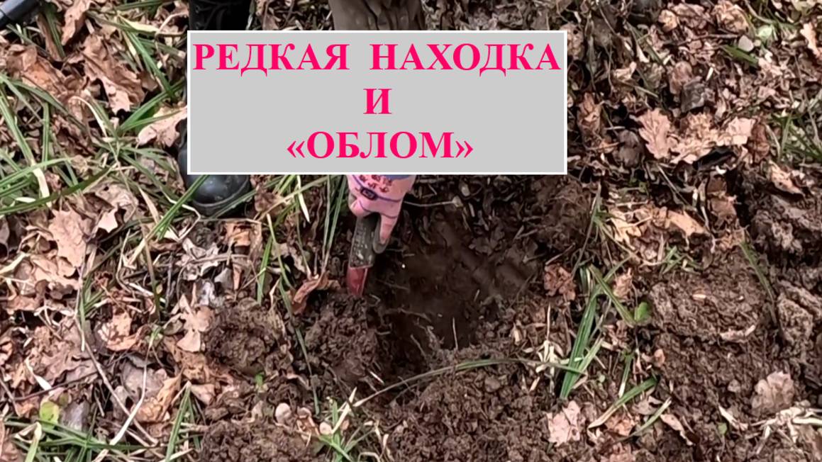 Эта находка сделала бы наш день, если бы...