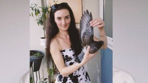Алиса и Голуби в Голландии