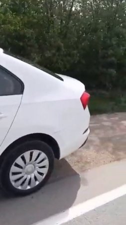 Аренда авто Skoda Rapid в Симферополе | Lux Rent