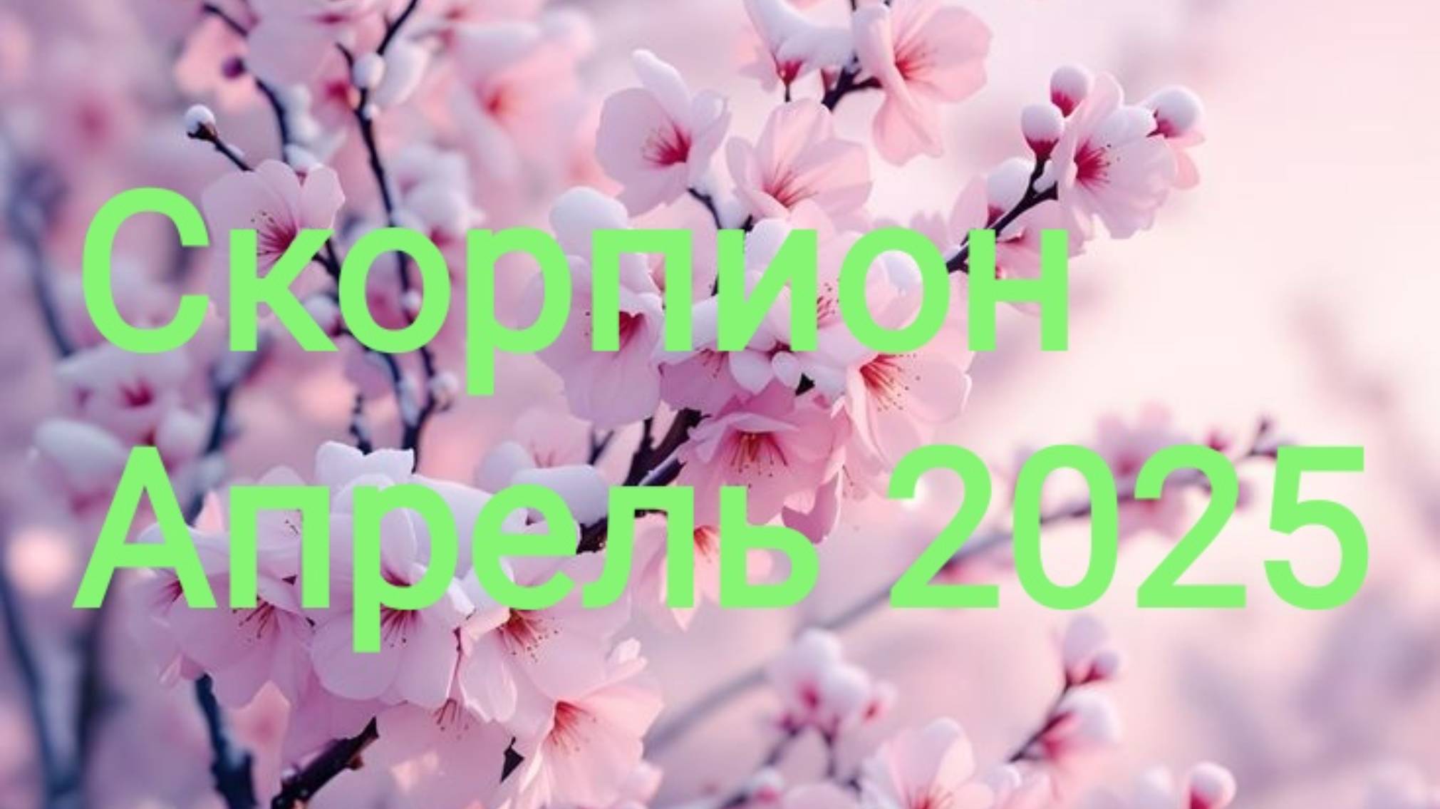 Скорпион. Апрель 2025 год. 🔮🔮🔮