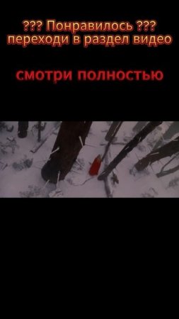 Spermatoxicozz - Красная Шапочка (Shorts)