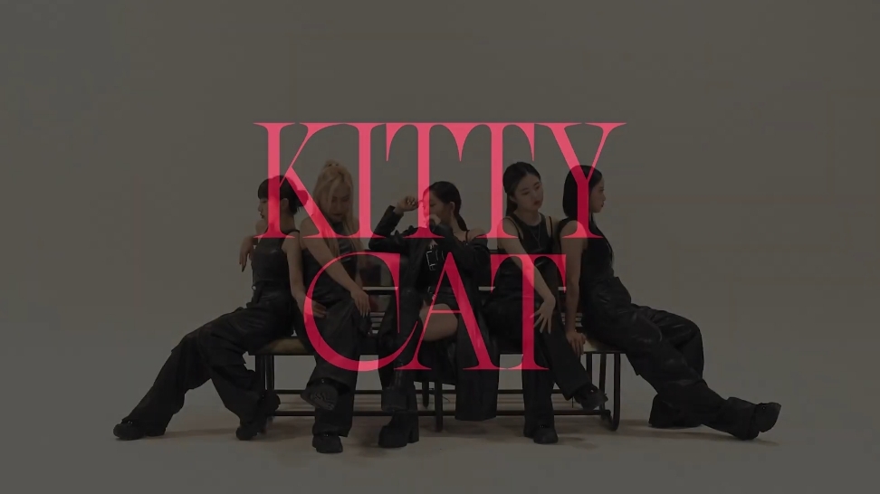 Julie - 'Kitty Cat' Dance Practice Mirrored