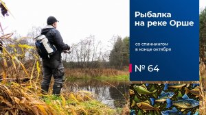64 / Рыбалка на красивой реке Орше / Спиннинг / Тверская область / Осень