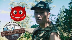 Тайный Враг: Борщевик Сосновского и Наш Ответ.