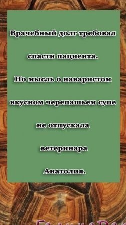 Ветеринар Анатолий