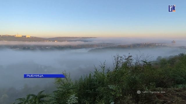 Рыбница в тумане