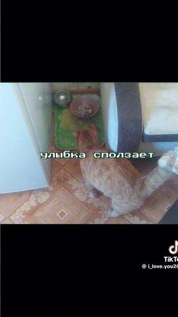 пытаюсь монтировать, оцените пж.