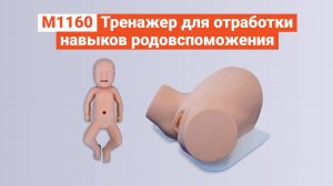 М1160 - Тренажер для отработки навыков родовспоможения