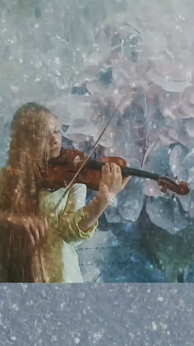 "Шторм" на скрипке из цикла "Времена года" Вивальди. Алина Герц. "Storm. Summer" - Vivaldi #скрипка