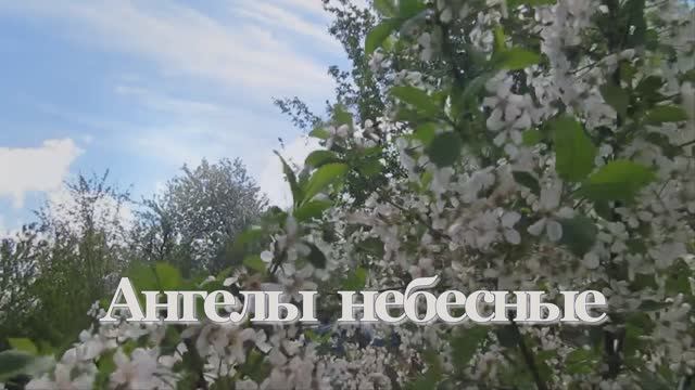 ..ЧАСТИЦУ СЕРДЦА НАШЕГО УНОСЯТ СЕРДЦА,
 УШЕДШИЕ ОТ НАС НА НЕБЕСА...

Нашим АНГЕЛАМ посвящаю...