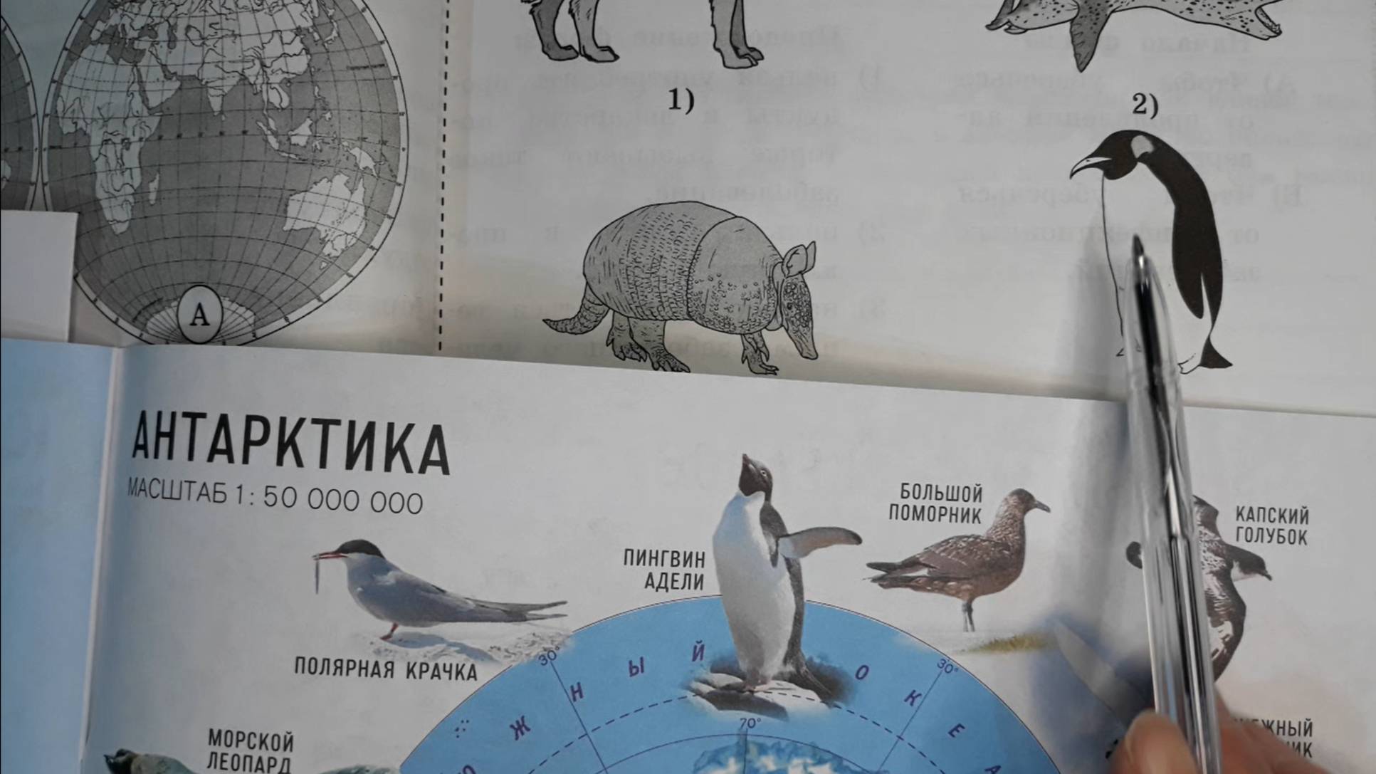 ВПР Окружающий мир 4 класс 2025 год, вариант 6 из 25