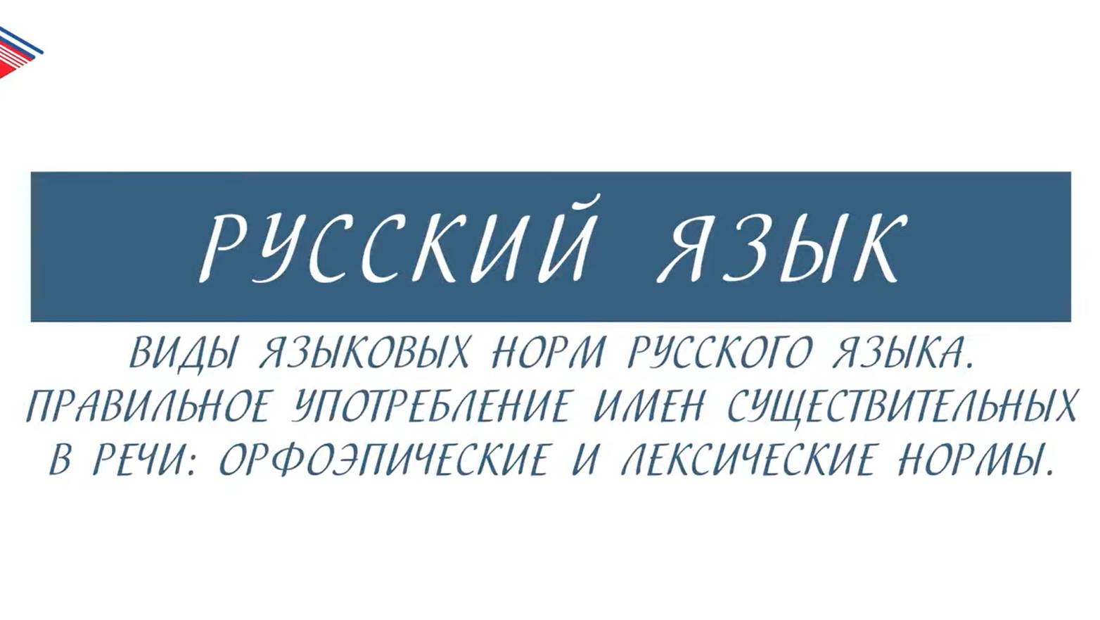 6 класс - Русский язык - Виды языковых норм русского языка. Правильное употребление существительных