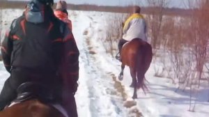 Весенняя верховая прогулка