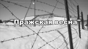 Обзорная экскурсия