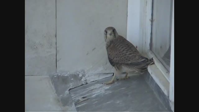 2008-06-07 УТС Евпатория