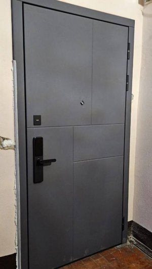 Дверь входная в квартиру