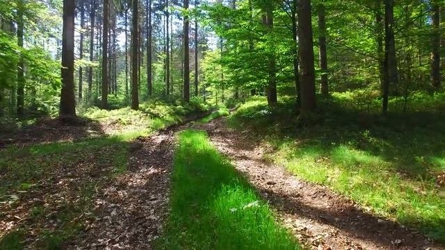 Весна // исполнитель Алексей Смирнов // время V минус