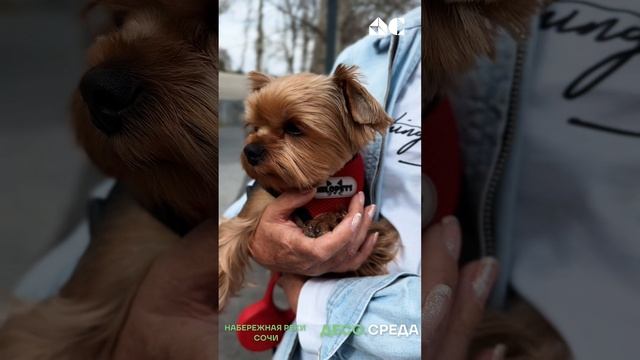 Выходные на горизонте, а погода намекает: «Бери солнцезащитные очки и бегом на улицу!»