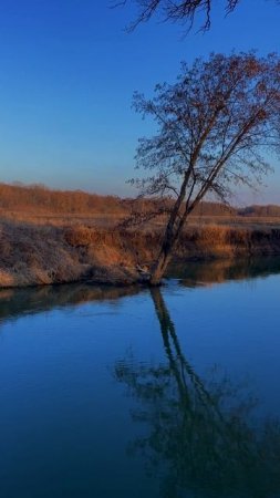 Моменты из путешествия в Моршанск