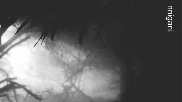 Waldeck  -  Dope Noir