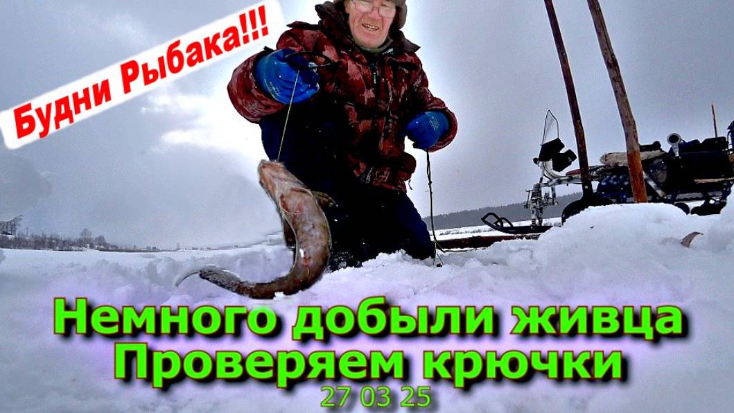 Немного добыли живца Проверяем крючки 27 03 25