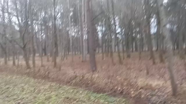 ролик отснять моему папе в 2024