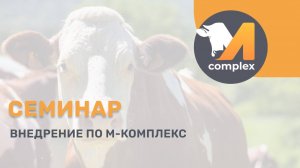 Внедрение ПО М-комплекс: к чему быть готовым | Семинар М-комплекс