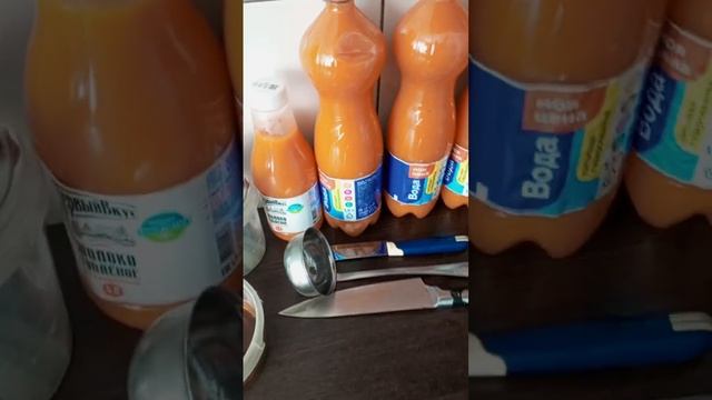 СОК ДЛЯ СНОХИ