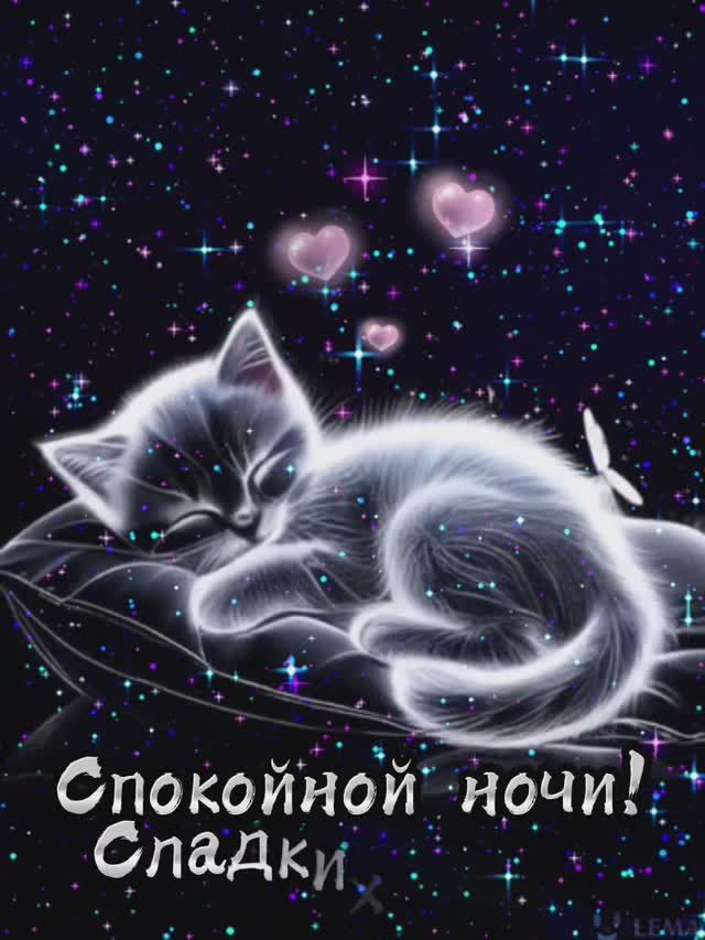 Спокойной ночи 🌜 Сладких снов 😴